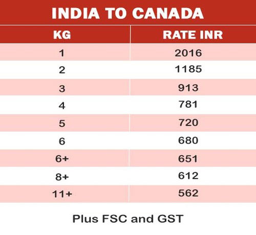 Best International Courier Service in India for Global Shipping in 2024 ...